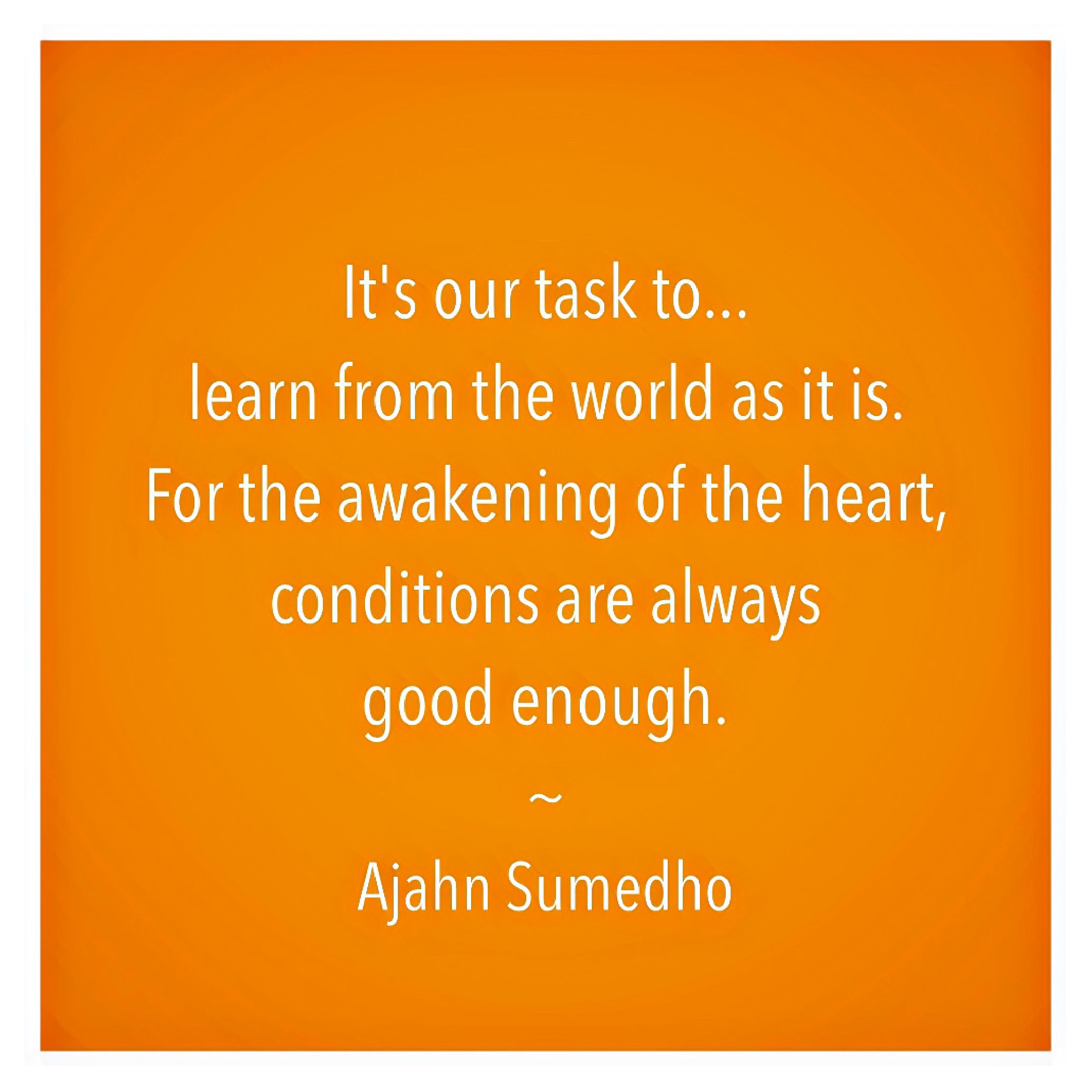 always good enough… | The Metta Garden