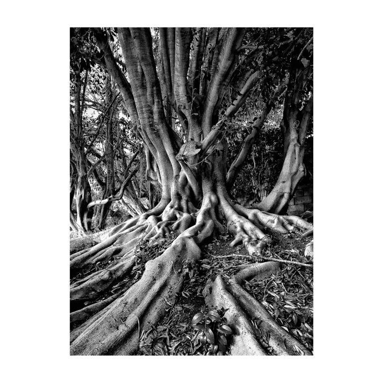 The Metta Garden | art & writing by jaysen matthew waller | Page 2