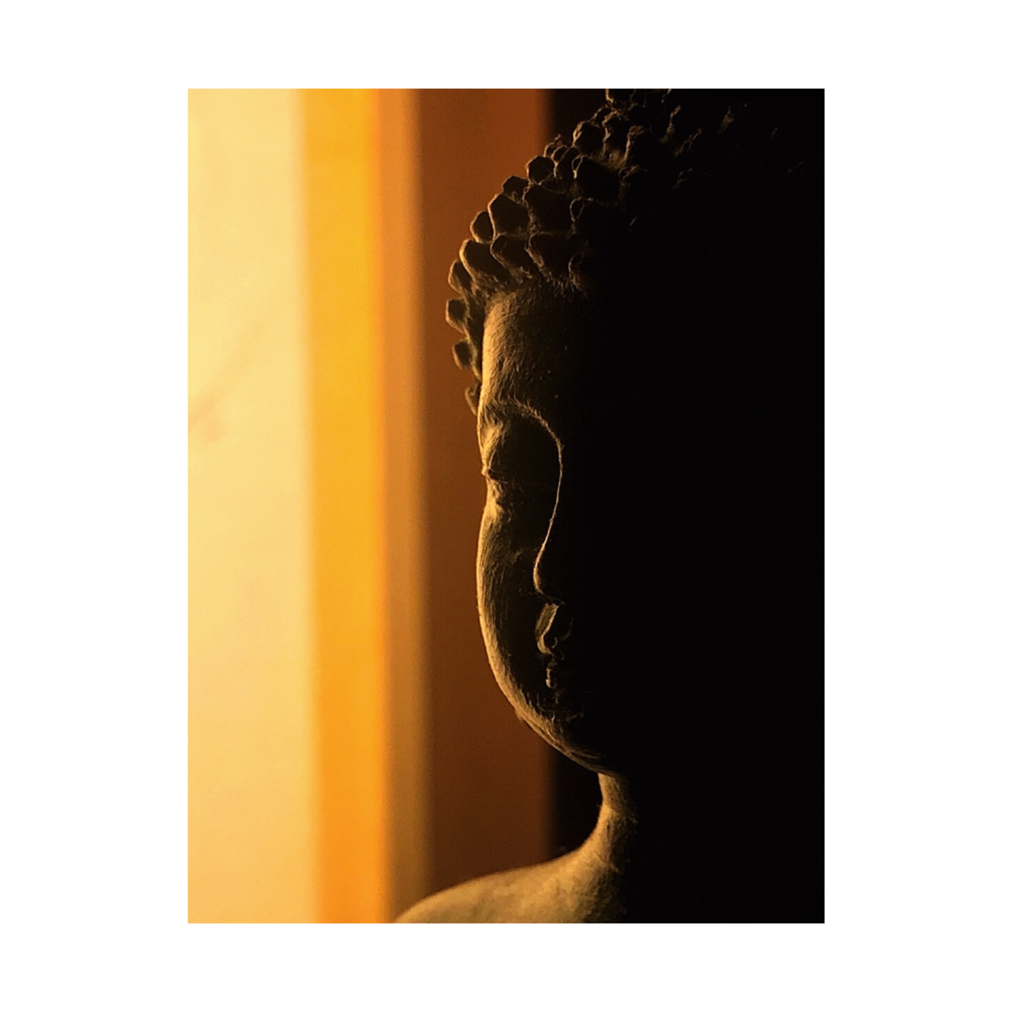 The Metta Garden | art & writing by jaysen matthew waller | Page 2