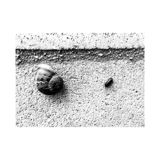 The Metta Garden | art & writing by jaysen matthew waller | Page 2