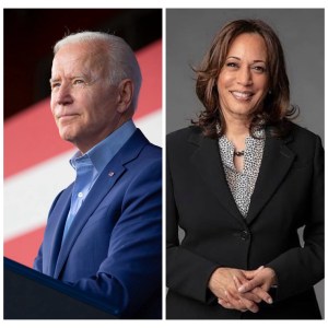 The Metta Garden | art & writing by jaysen matthew waller