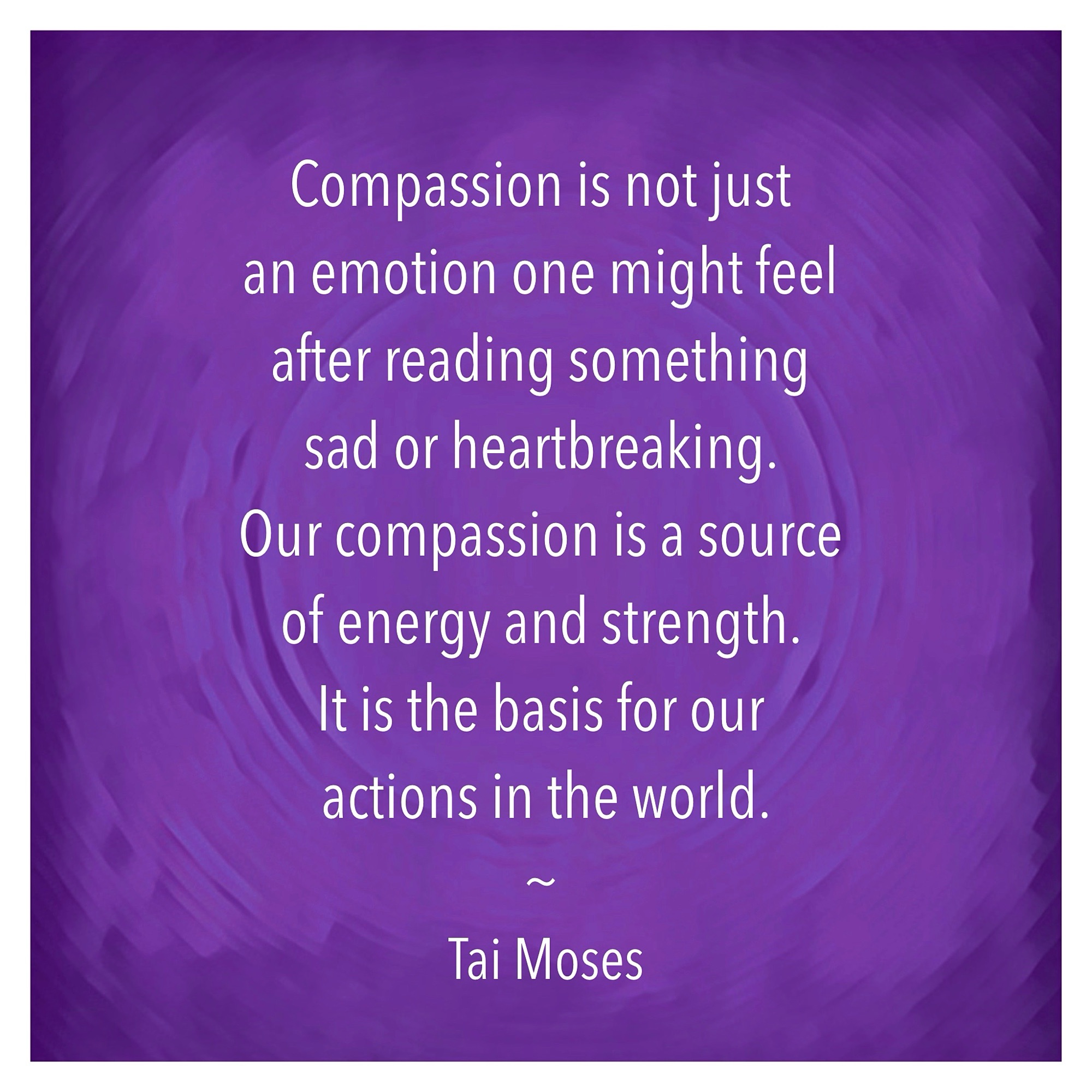 The Metta Garden | art & writing by jaysen matthew waller