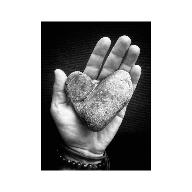 The Metta Garden | art & writing by jaysen matthew waller | Page 2