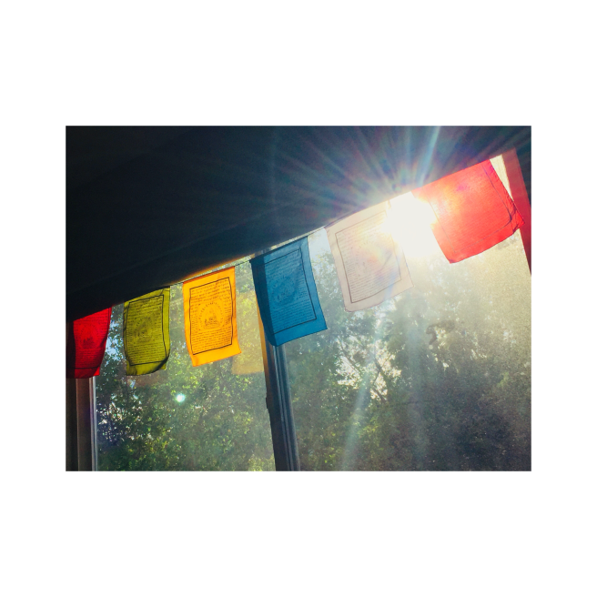 The Metta Garden | art & writing by jaysen matthew waller