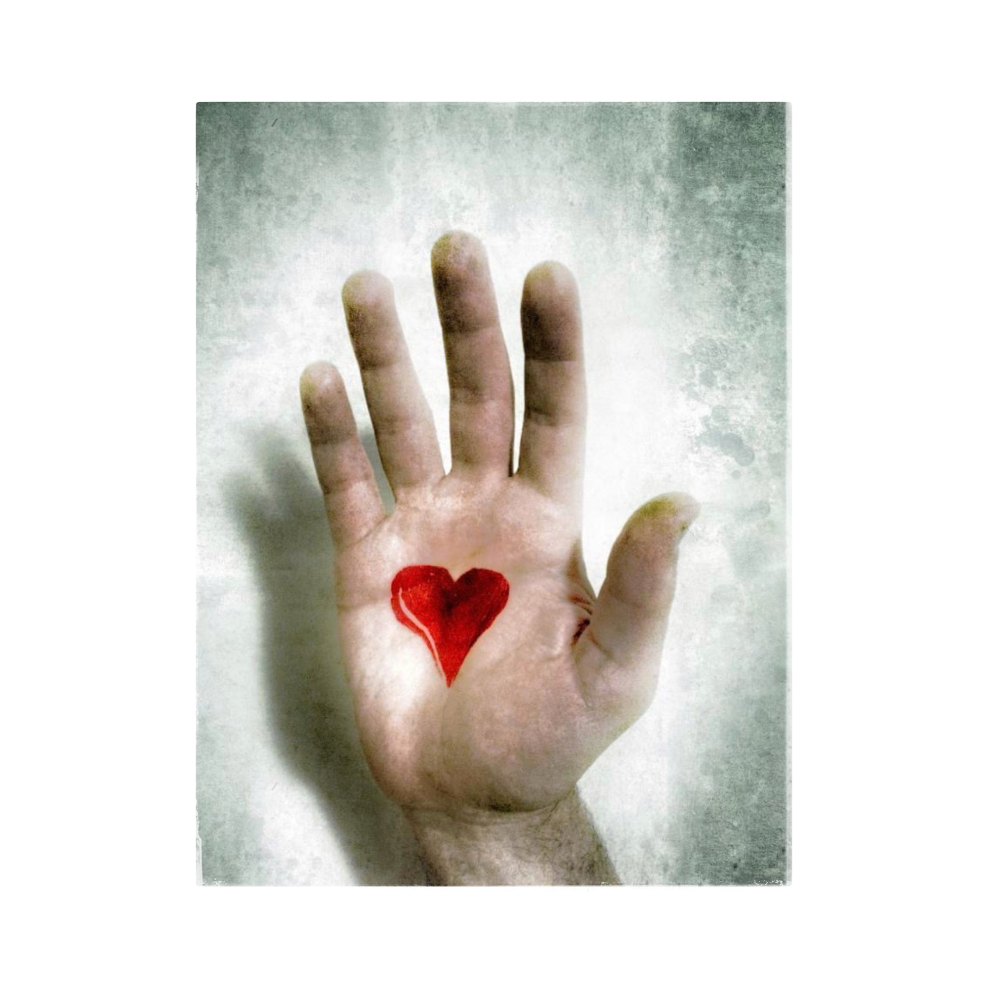 revolution of the heart… | The Metta Garden