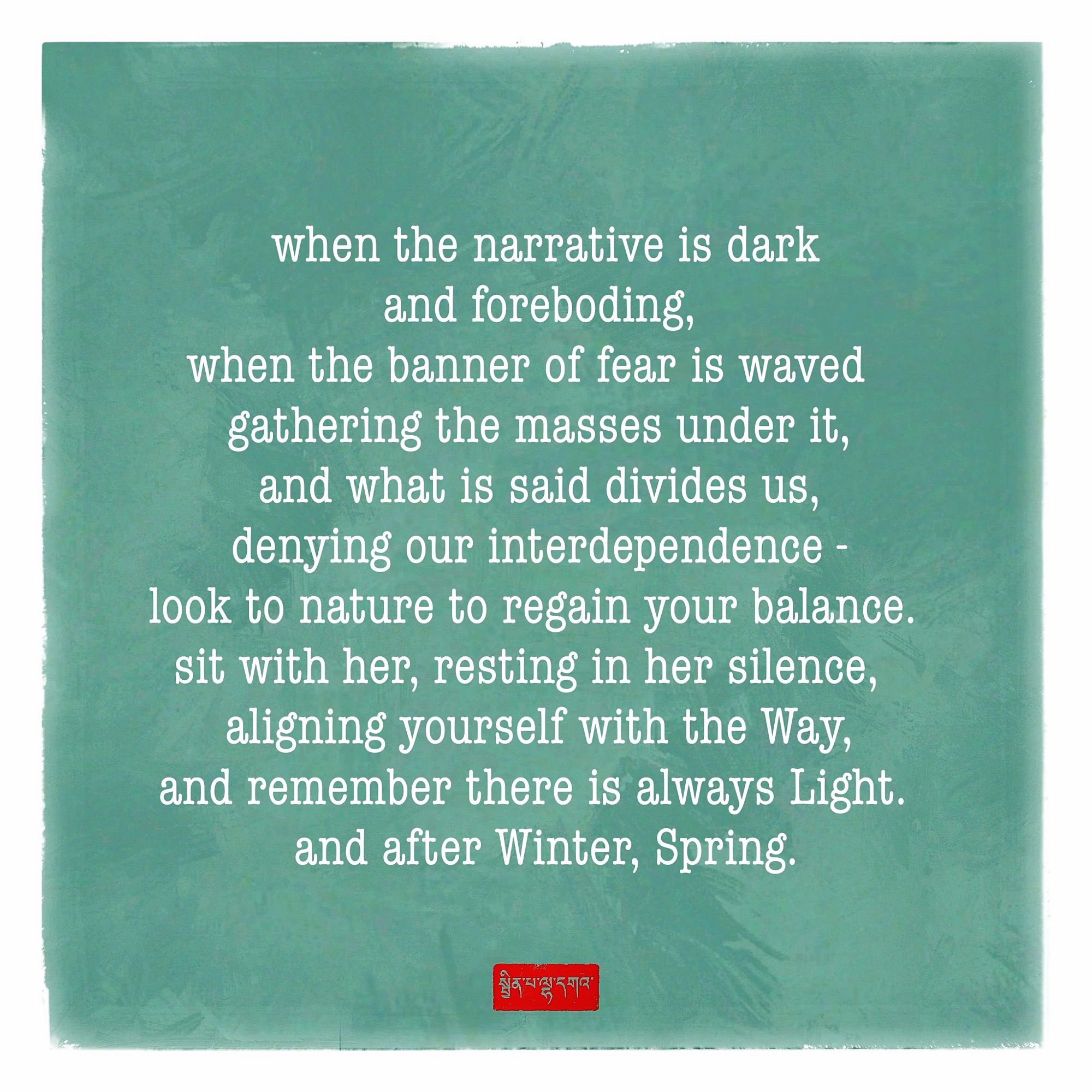 spring is here – wake up! | The Metta Garden